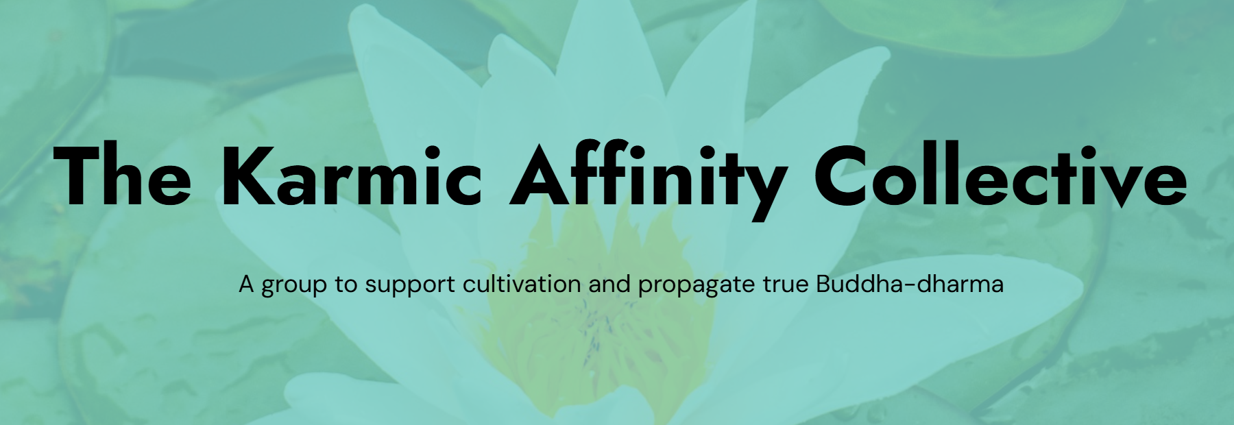 Home [karmicaffinity.org]